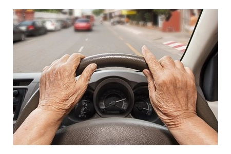 Increasing Numbers of Elderly Drivers Renew Their License